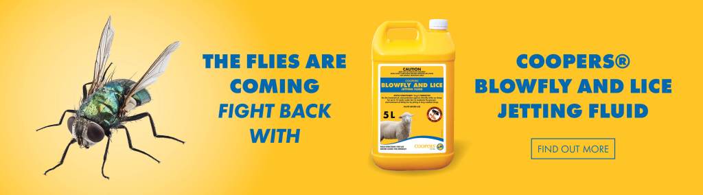 Home - coopersanimalhealth-com-au