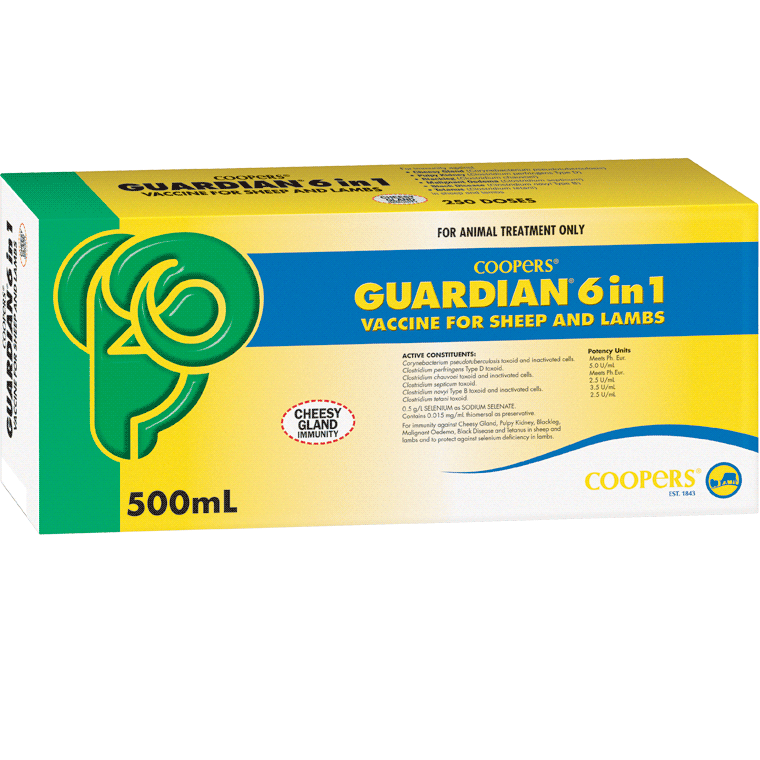 Guardian 6 in 1 | Vaccine For Sheep And Lambs | Coopers