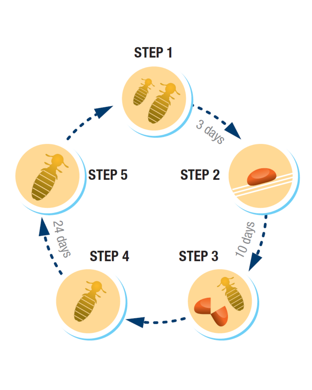 Flexolt | First Ever Oral Lice Treatment For Sheep | Coopers