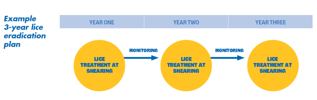 Flexolt | First Ever Oral Lice Treatment For Sheep | Coopers