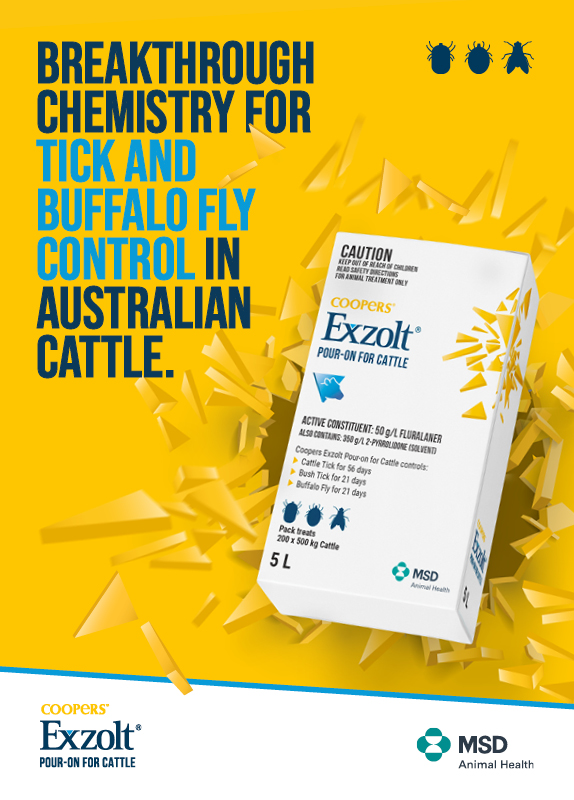 Coopers Exzolt | Pour-on for cattle | Breakthrough chemistry for tick ...