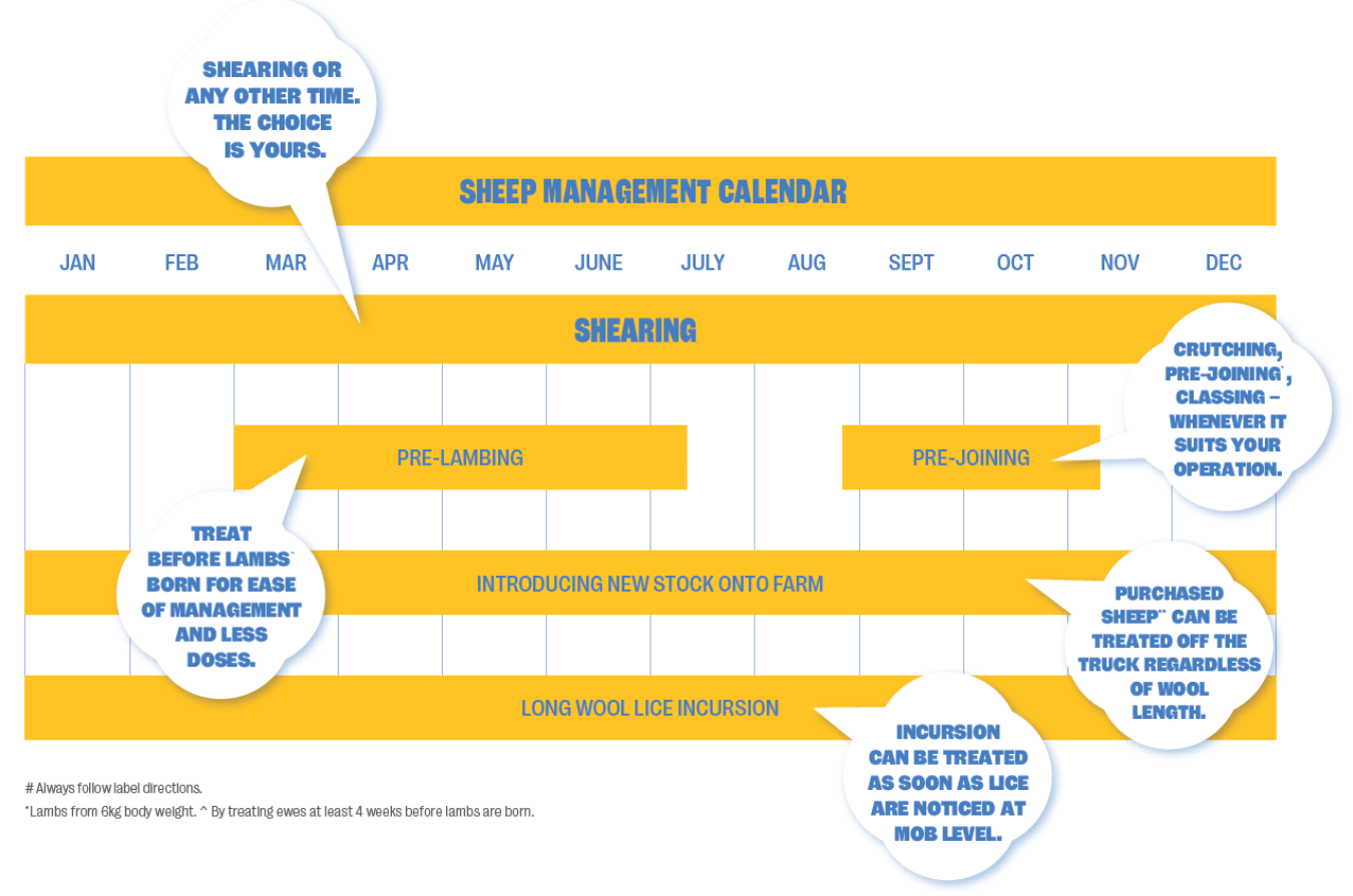 Flexolt | First Ever Oral Lice Treatment For Sheep | Coopers