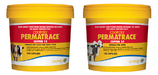 Permatrace Copper Cattle | Nutrition | Products | Coopers Australia